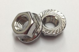 M6 HANK BUSH NUT SS304